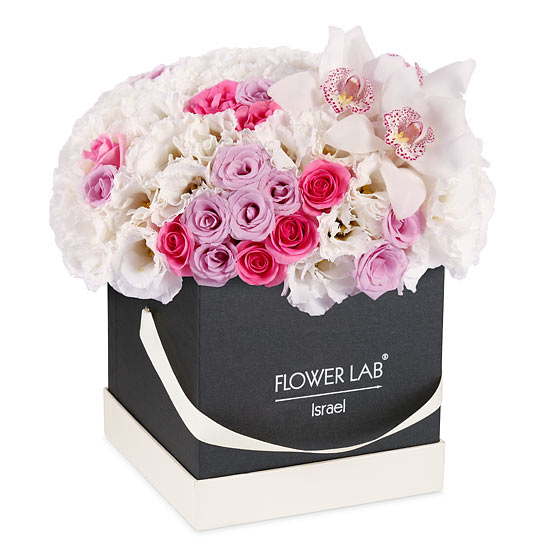 Berry – Flower lab tlv