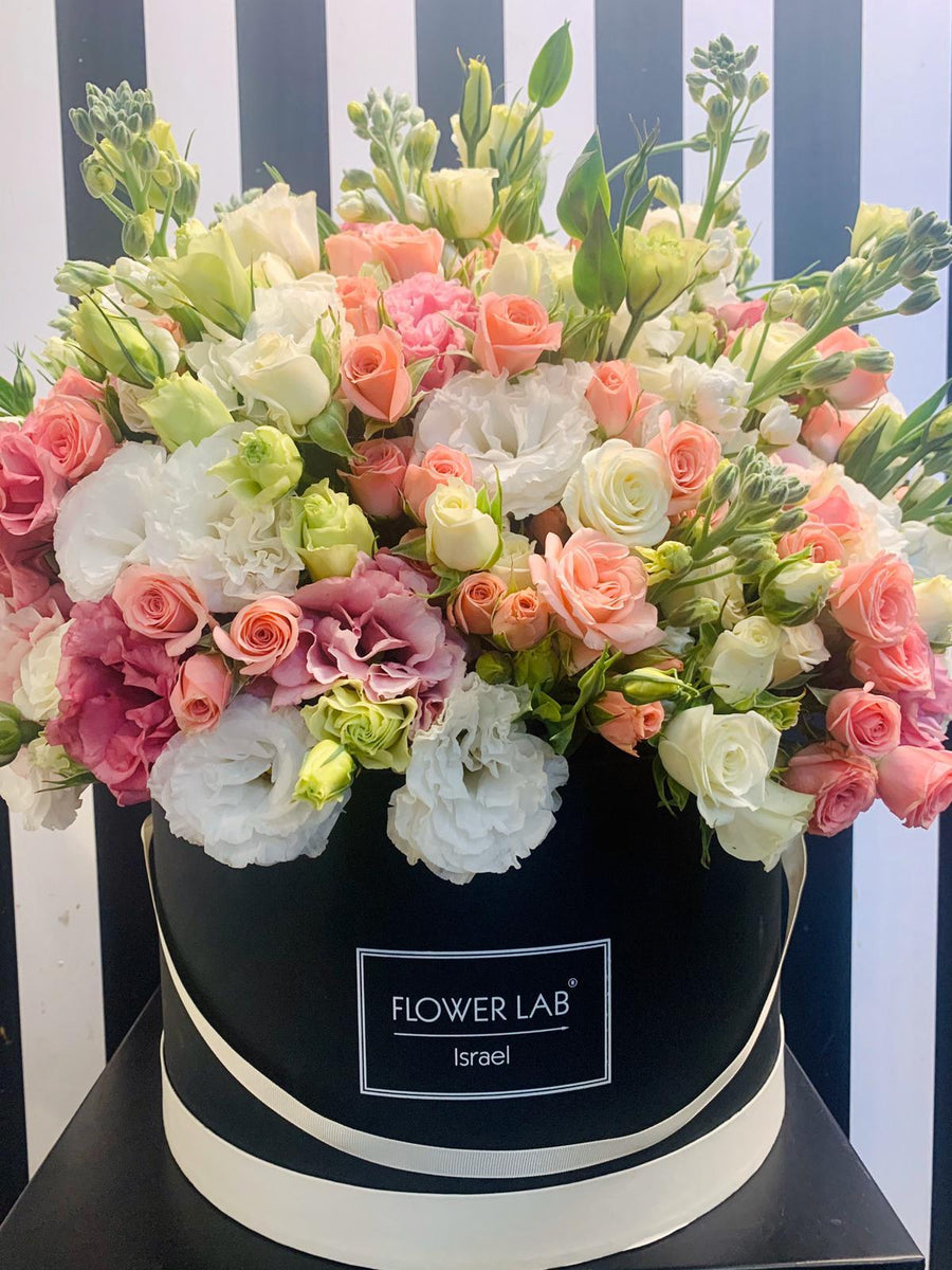 freestyle box – Flower lab tlv